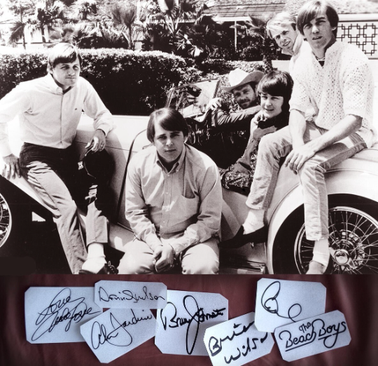 The Beach Boys autographs vinyl stickers Brian Wilson, Alan Jardine, M ...